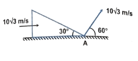 Relative Motion | Relative Velocity in One & Two Dimensions